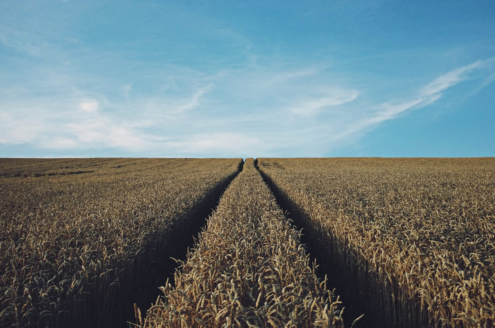Biofuels Can Lead The Way To Decarbonisation | ATOS Australia